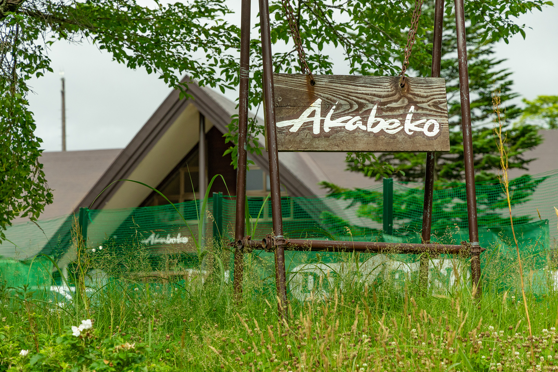 【ペットと暮らすメリット】心と体が元気になる理由と3つの大切な注意点 | Akabekoブログ